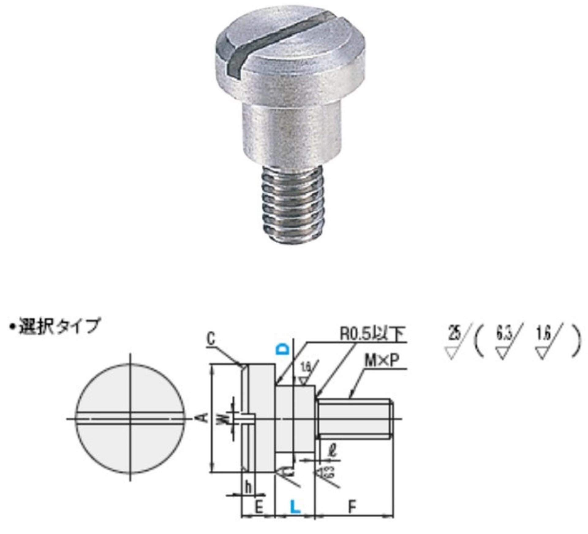 工具で回して固定する支点段付きねじ-回せねえ軸はただの棒だ | サポーターズ・コーナー